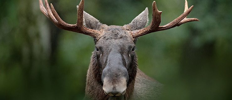 Metsästysliike Ruoto Mega Store - Tuusula, Kaarina, Tampere