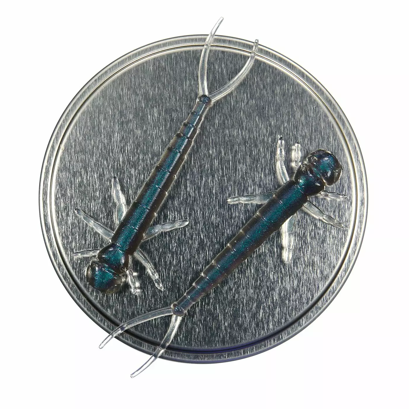 Microbite Drago 6,8cm Hyönteisjäljitelmä - Ruoto.fi verkkokauppa