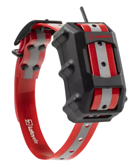 Koiratutka ja koirapanta - Ruoto.fi-verkkokauppa