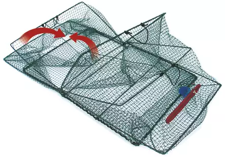 Katiskat - Ruoto.fi verkkokauppa