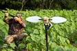 MOJO Voodoo Dove Kyyhkyn houkutuskaave - Ruoto.fi verkkokauppa